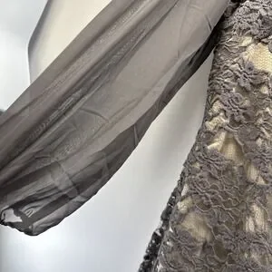 Eliza J | Dresses | Eliza J Lace Sheath Dress Sz 4 Romantic Overlay ...
